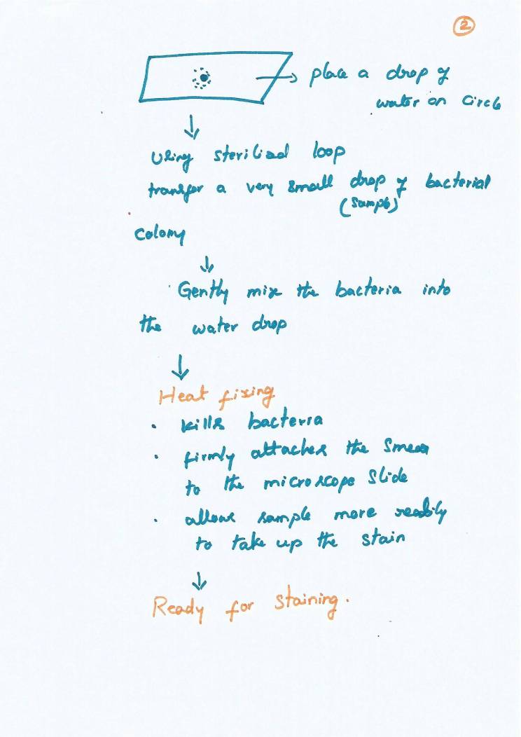 Microbial Staining Techniques - Notes - LearnPick India