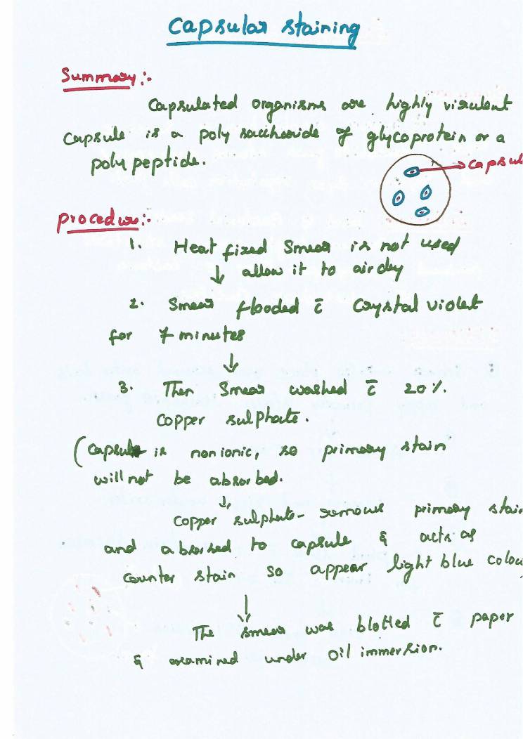 Microbial Staining Techniques - Notes - LearnPick India