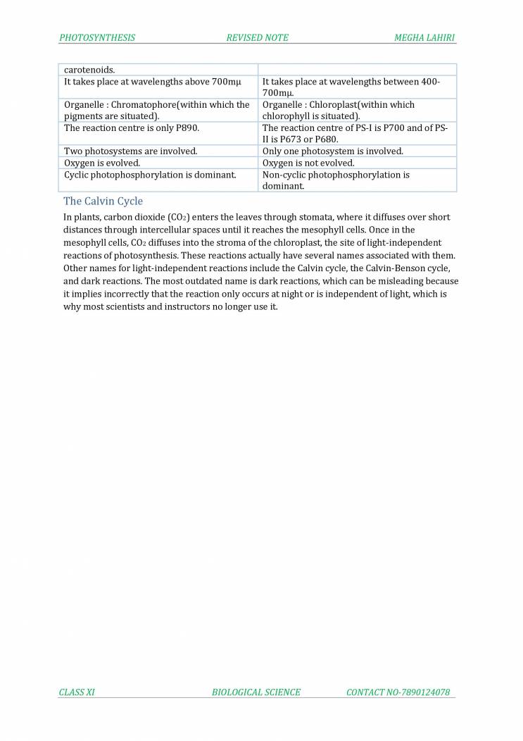 Photosynthesis - Notes - LearnPick India