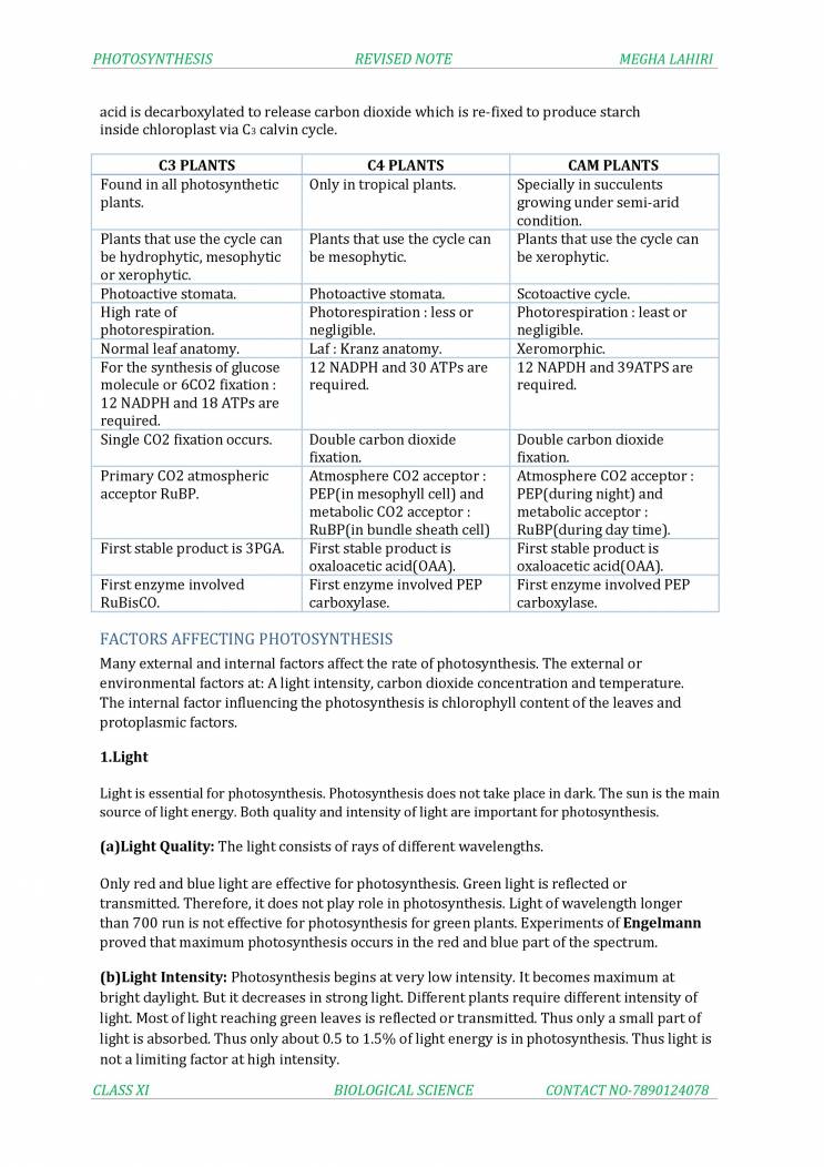 Photosynthesis - Notes - LearnPick India