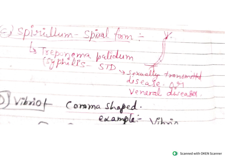 Shapes of Bacteria - Notes - LearnPick India