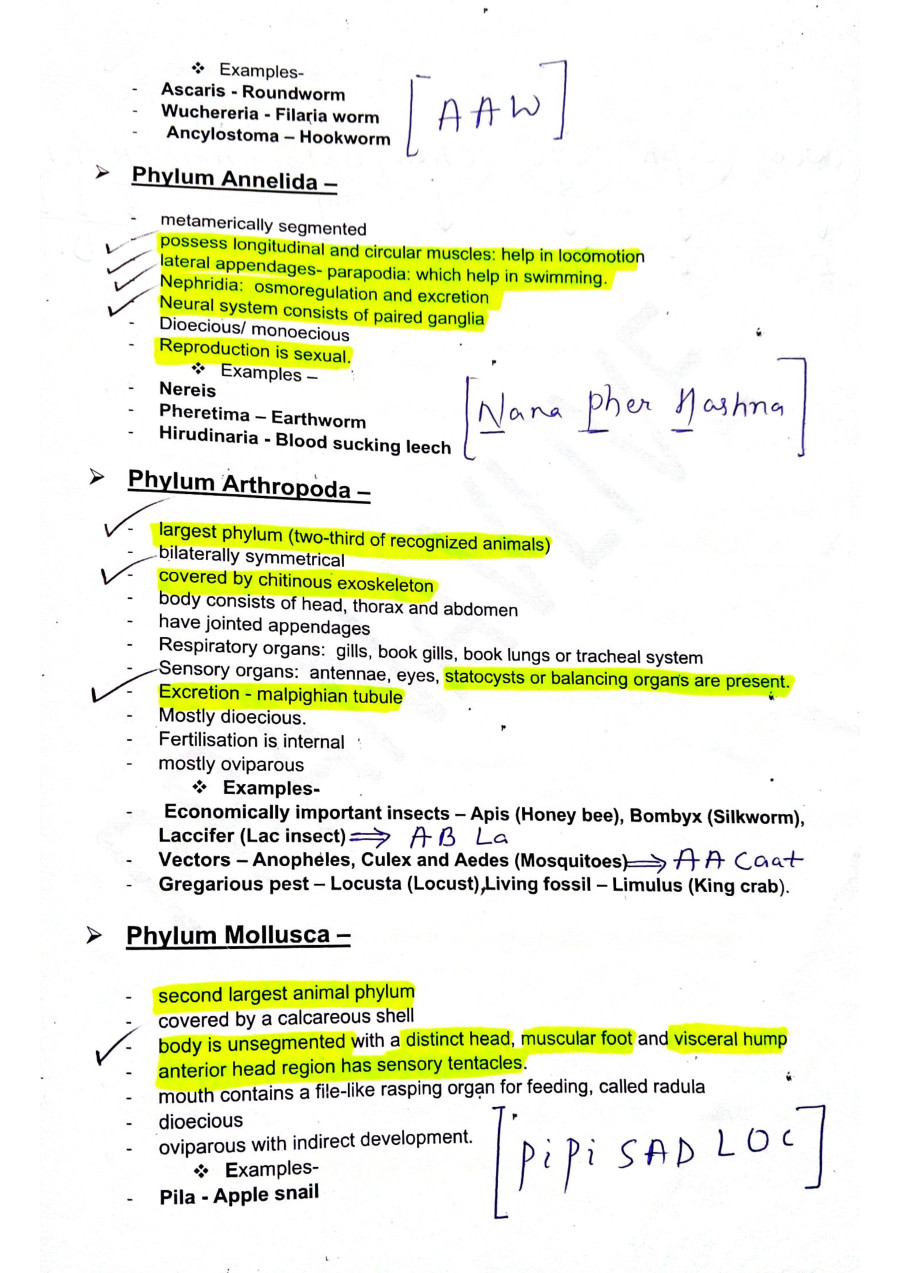 ANIMAL KINGDOM - Notes - LearnPick India