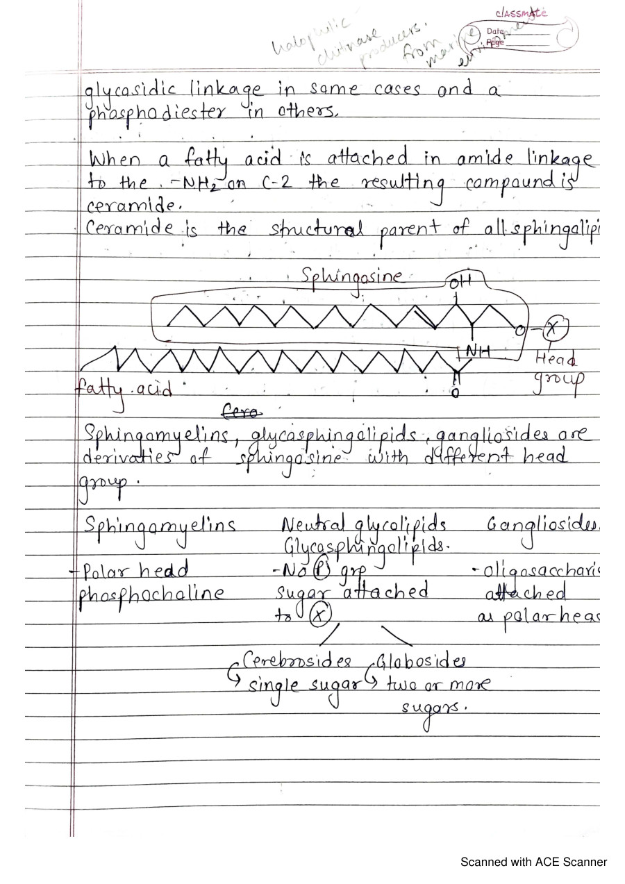 Lipid Chemistry - Notes - LearnPick India
