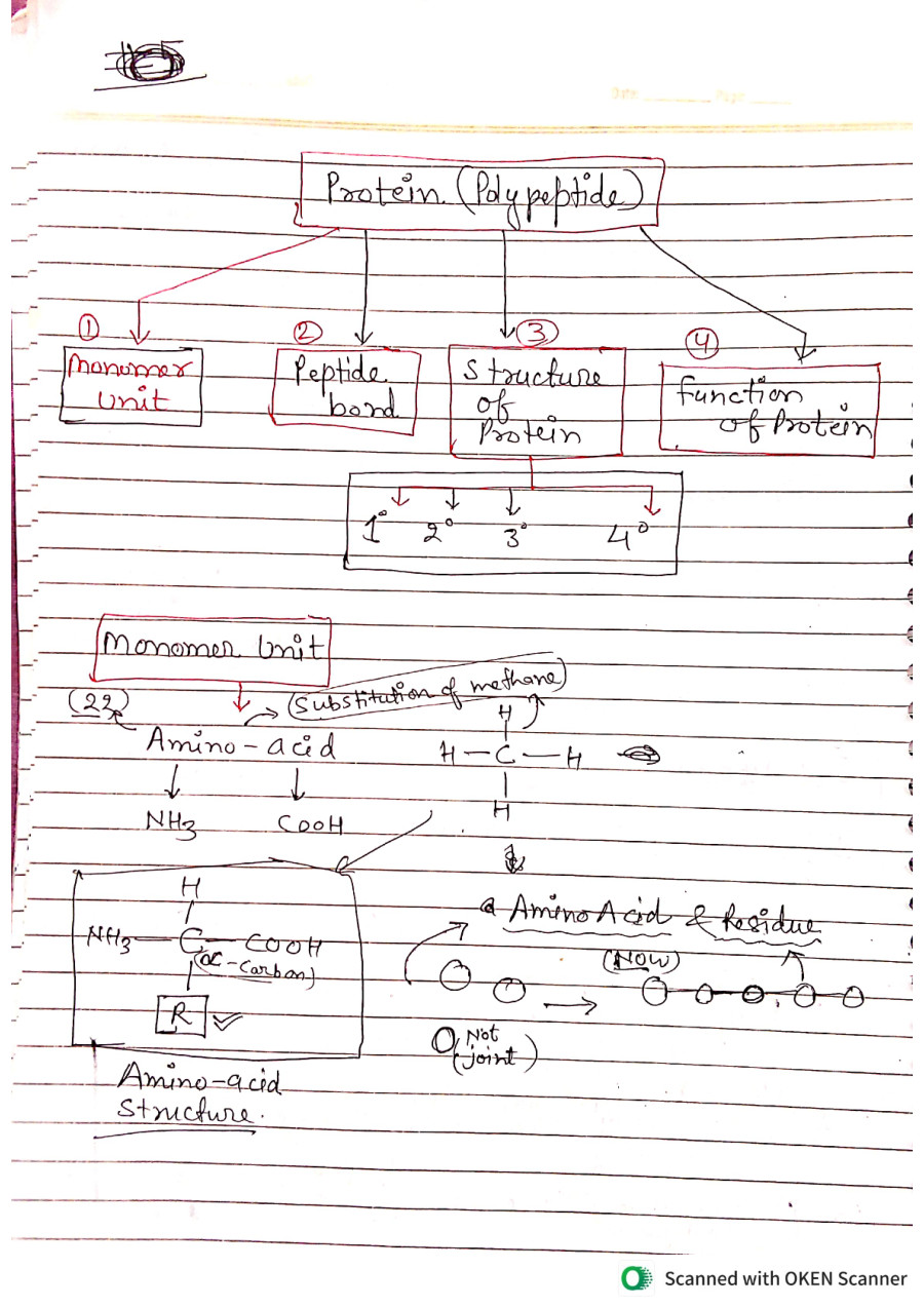 Biomolecules Composition Structure And Function Notes Learnpick India