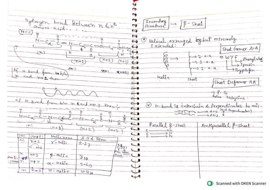 Structure of protein - Notes - LearnPick India