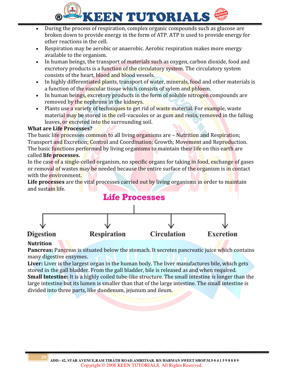SCIENCE 10TH CLASS NOTES- LIFE PROCESS - Notes - LearnPick India