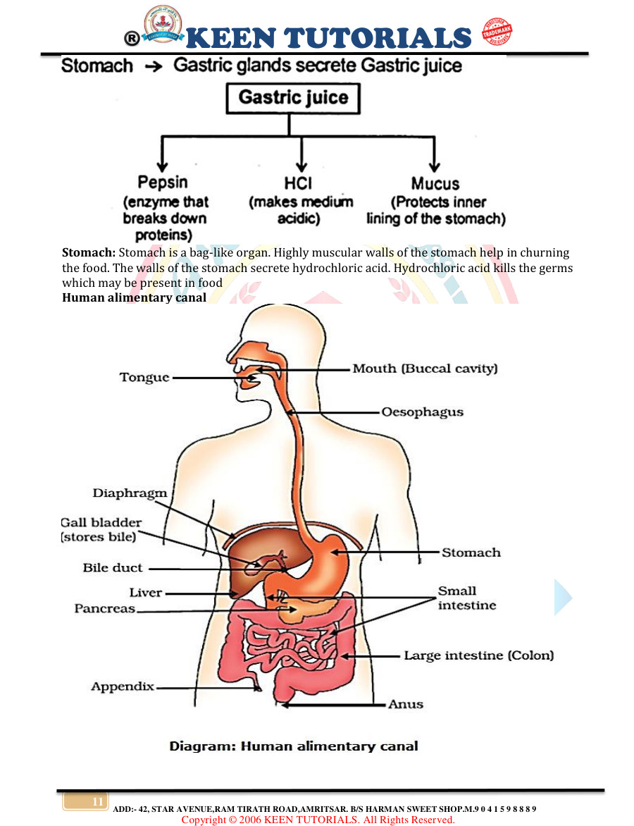 SCIENCE 10TH CLASS NOTES- LIFE PROCESS - Notes - LearnPick India