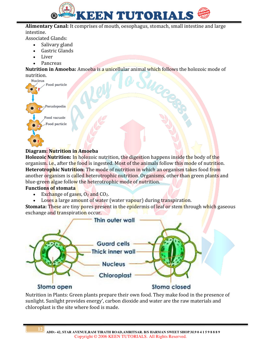 SCIENCE 10TH CLASS NOTES- LIFE PROCESS - Notes - LearnPick India