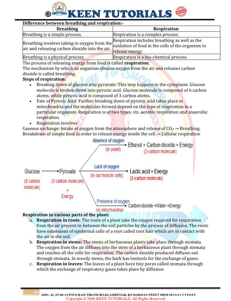 SCIENCE 10TH CLASS NOTES- LIFE PROCESS - Notes - LearnPick India