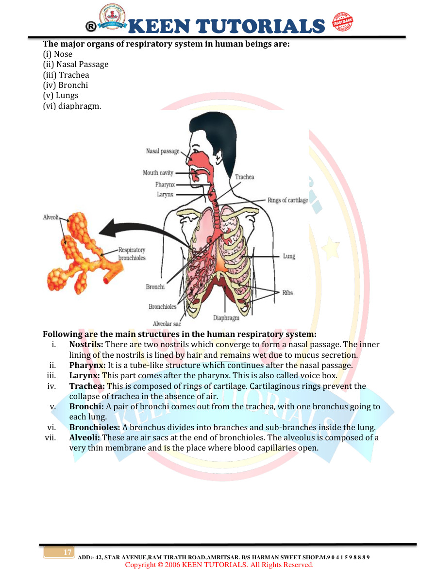 SCIENCE 10TH CLASS NOTES- LIFE PROCESS - Notes - LearnPick India