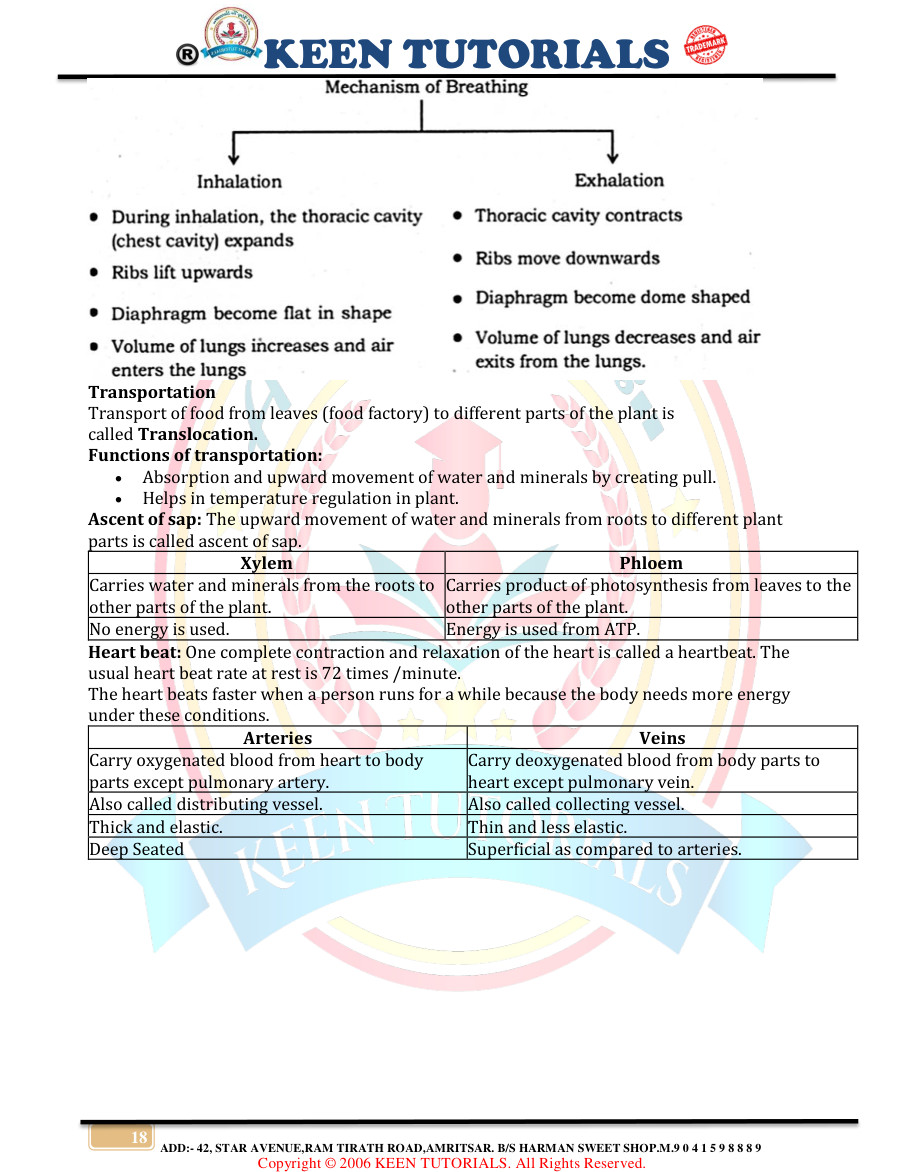 SCIENCE 10TH CLASS NOTES- LIFE PROCESS - Notes - LearnPick India