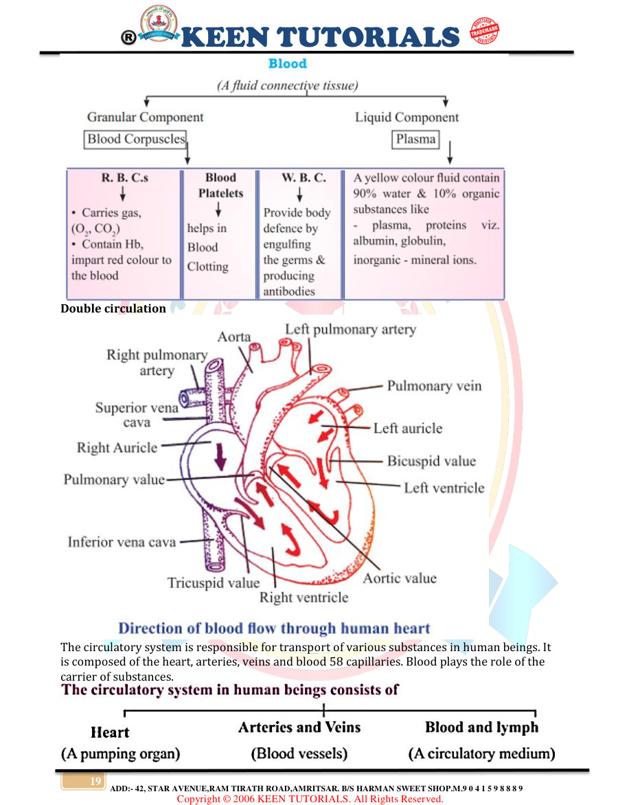 SCIENCE 10TH CLASS NOTES- LIFE PROCESS - Notes - LearnPick India