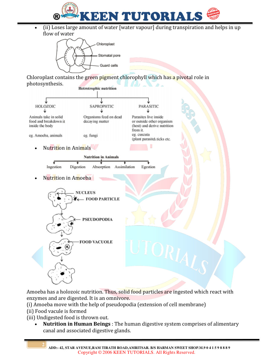SCIENCE 10TH CLASS NOTES- LIFE PROCESS - Notes - LearnPick India