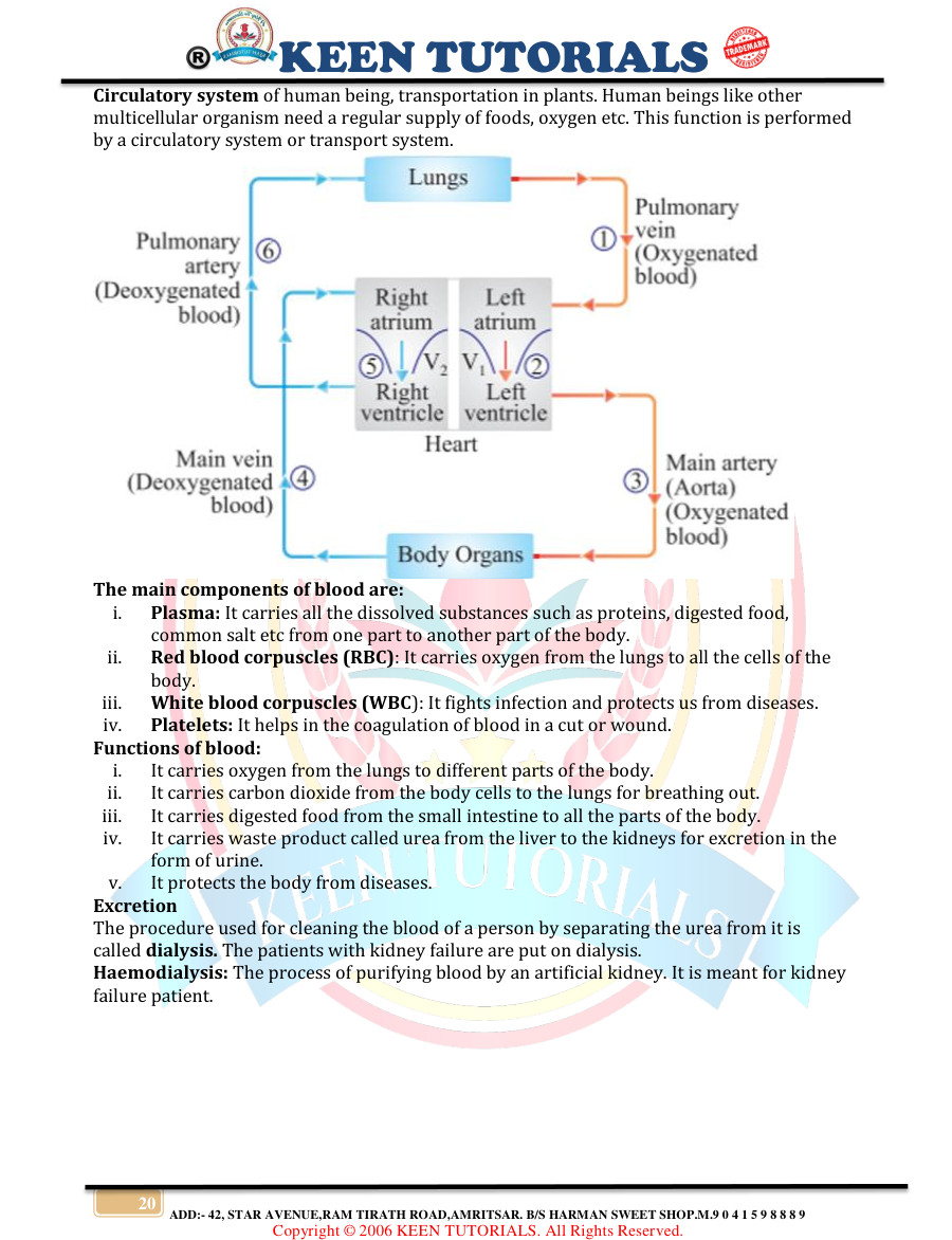 SCIENCE 10TH CLASS NOTES- LIFE PROCESS - Notes - LearnPick India