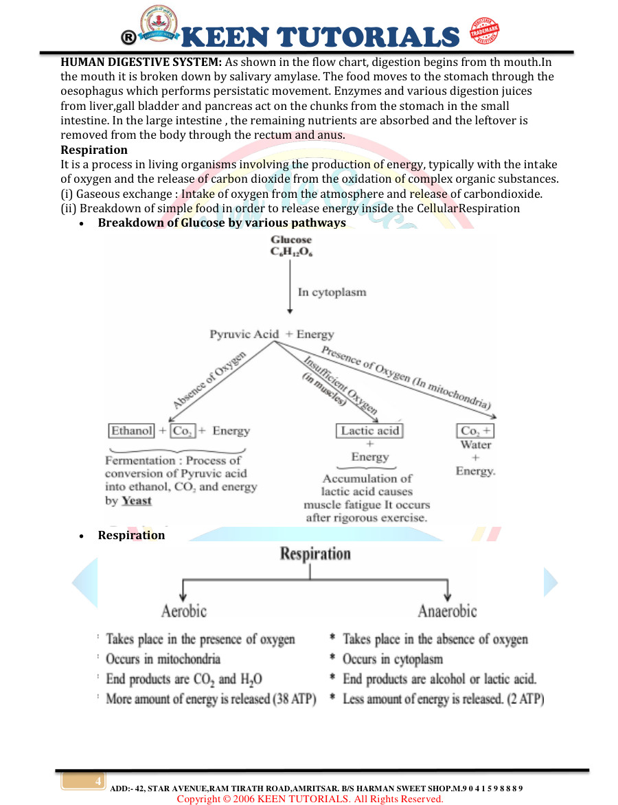 SCIENCE 10TH CLASS NOTES- LIFE PROCESS - Notes - LearnPick India