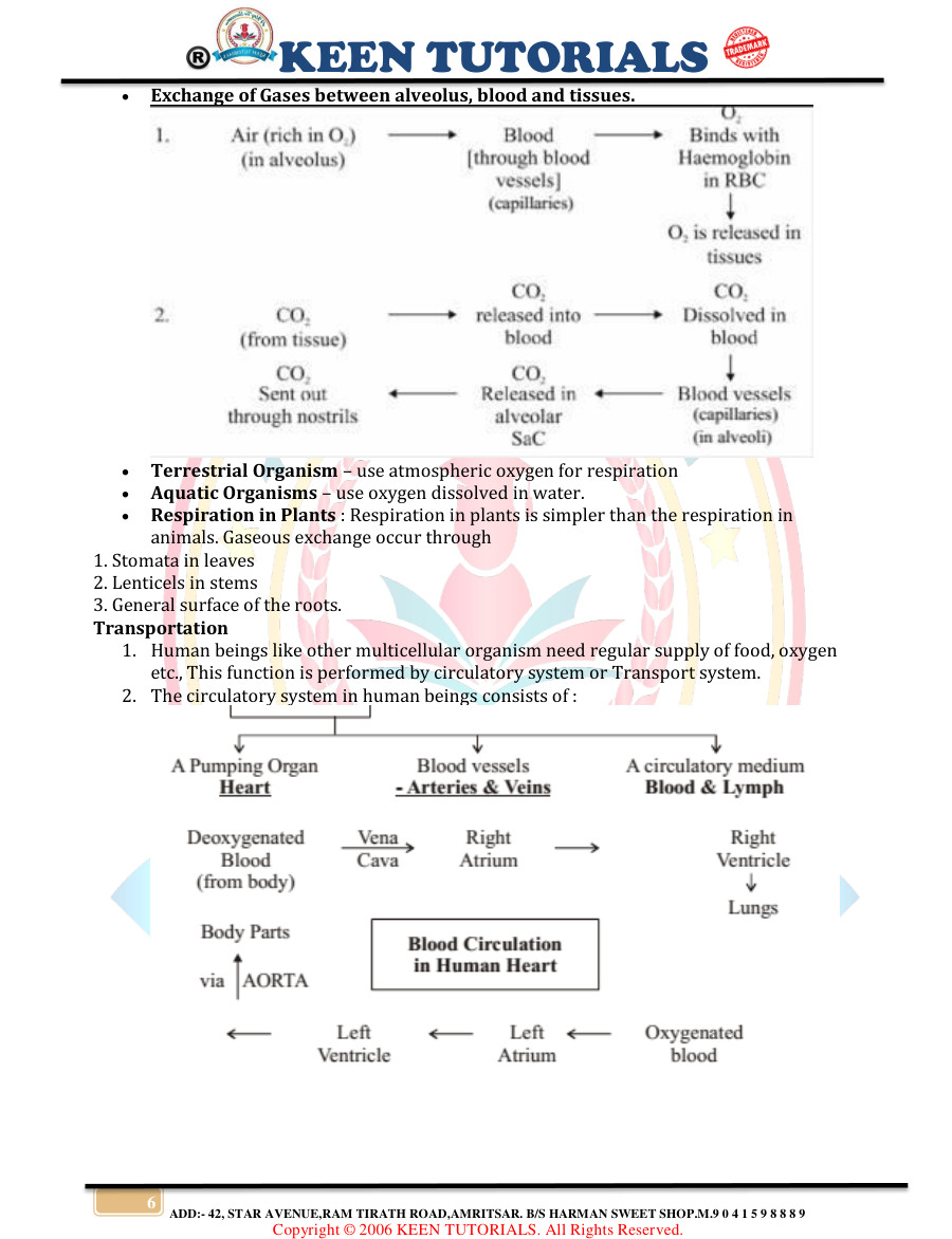 SCIENCE 10TH CLASS NOTES- LIFE PROCESS - Notes - LearnPick India