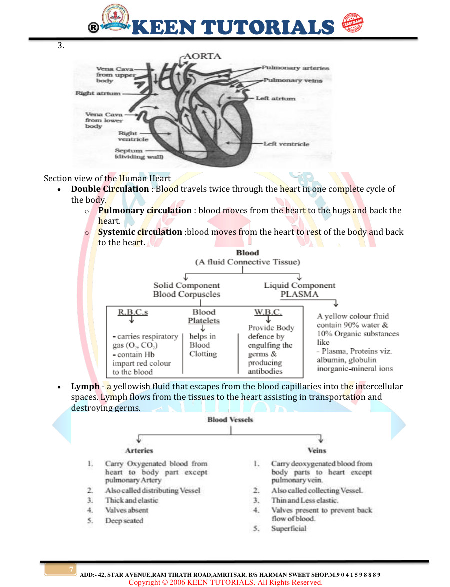 SCIENCE 10TH CLASS NOTES- LIFE PROCESS - Notes - LearnPick India