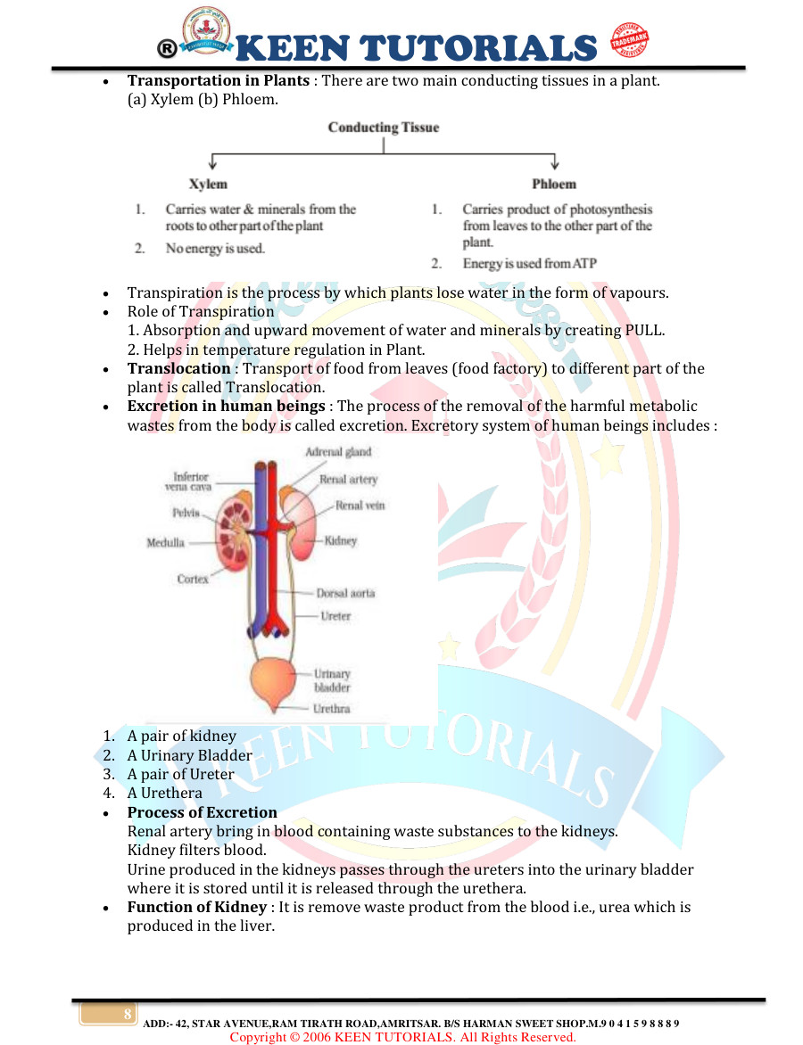SCIENCE 10TH CLASS NOTES- LIFE PROCESS - Notes - LearnPick India