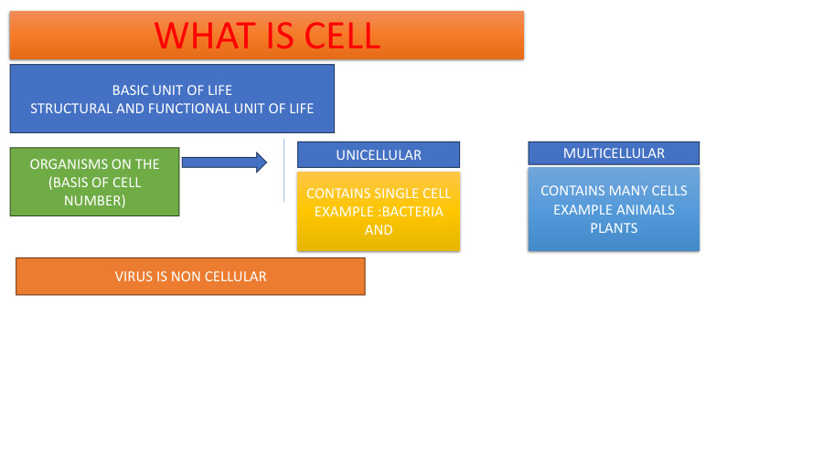 CELL THE UNIT OF LIFE. - Notes - LearnPick India