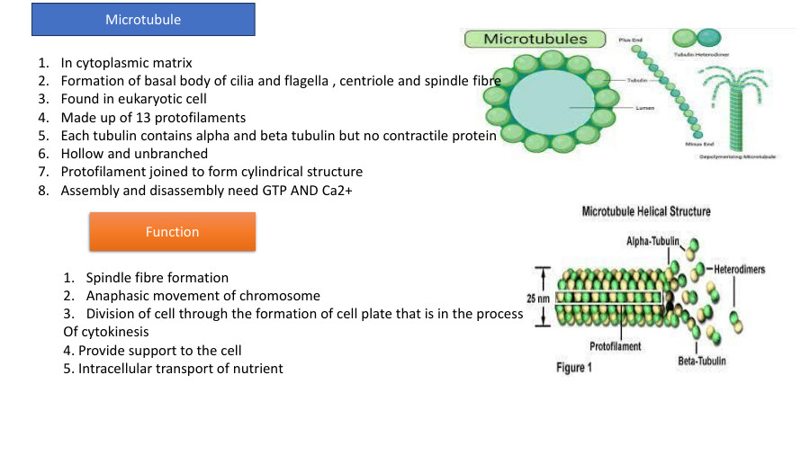 CELL THE UNIT OF LIFE. - Notes - LearnPick India