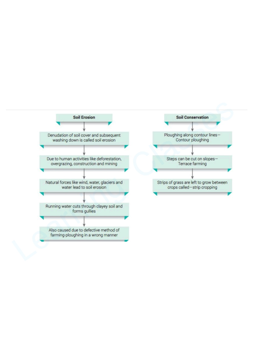 Class 10 SST short notes - Notes - LearnPick India