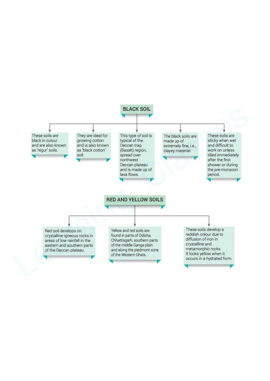Class 10 SST short notes - Notes - LearnPick India