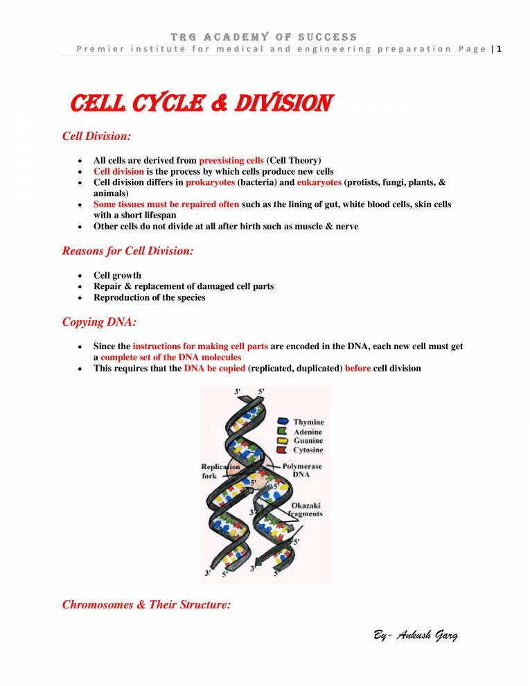 Cell Cycle And Cell Division - Notes - LearnPick India