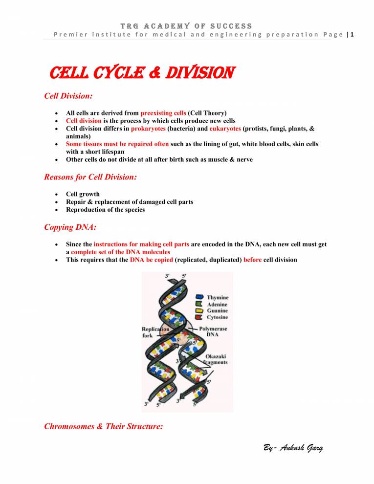 Cell Cycle And Cell Division - Notes - LearnPick India