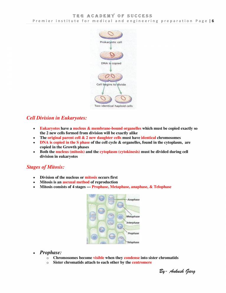 Cell Cycle And Cell Division - Notes - LearnPick India