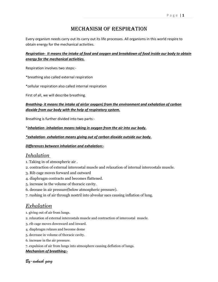 Mechanism Of Breathing - Notes - LearnPick India