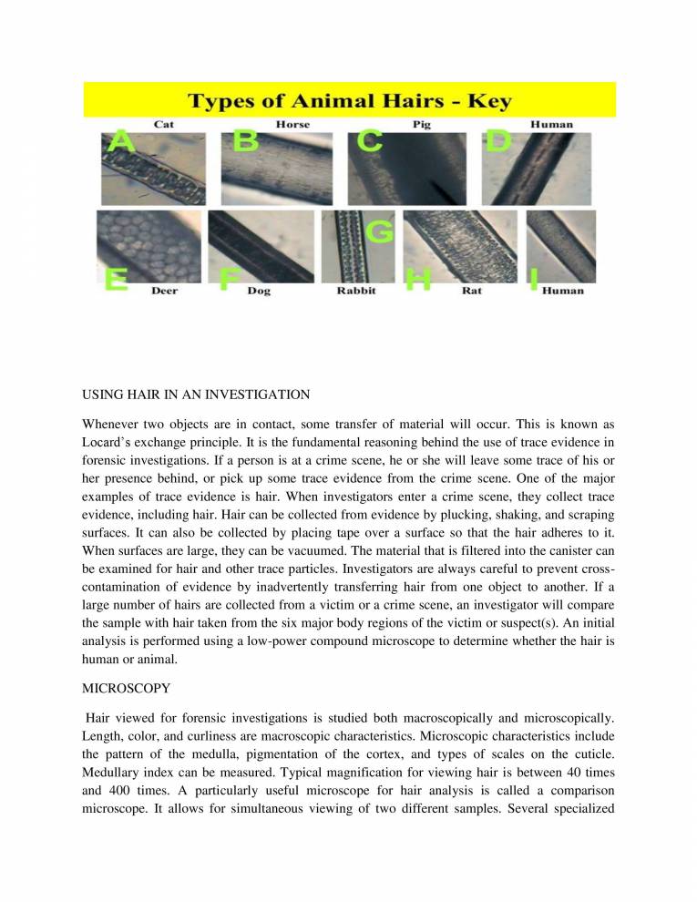 Importance Of Hair - Notes - LearnPick India