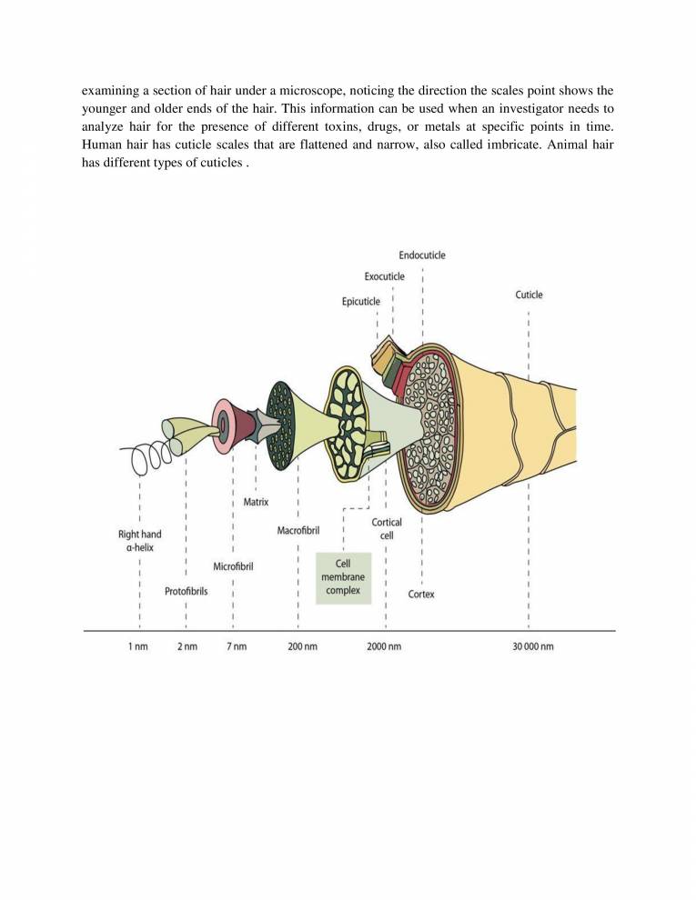 Importance Of Hair - Notes - LearnPick India