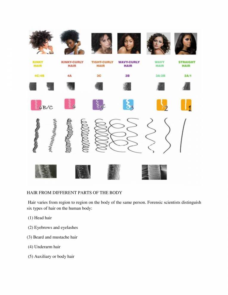 Importance Of Hair - Notes - LearnPick India