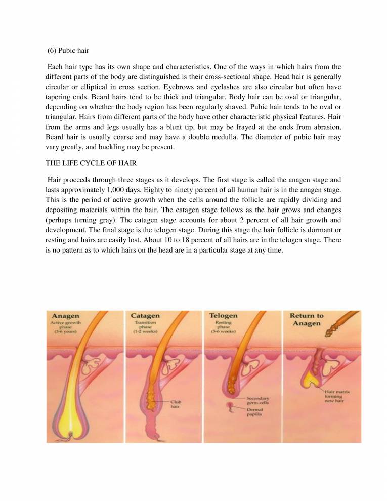 Importance Of Hair - Notes - LearnPick India