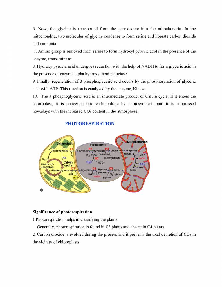 Photosynthesis - Notes - LearnPick India