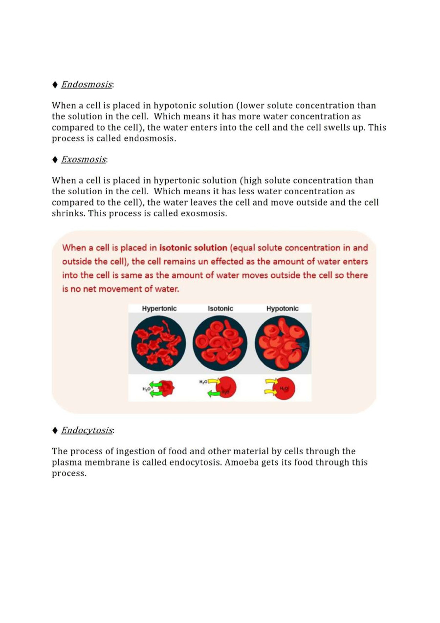 Class 9 Notes for the chapter - Cell the fundamental unit of life ...