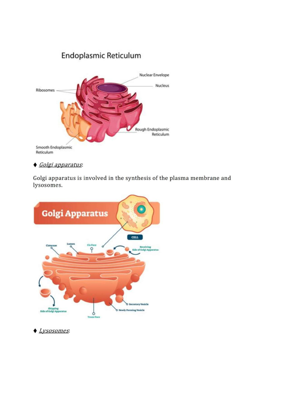 Class 9 Notes for the chapter - Cell the fundamental unit of life ...