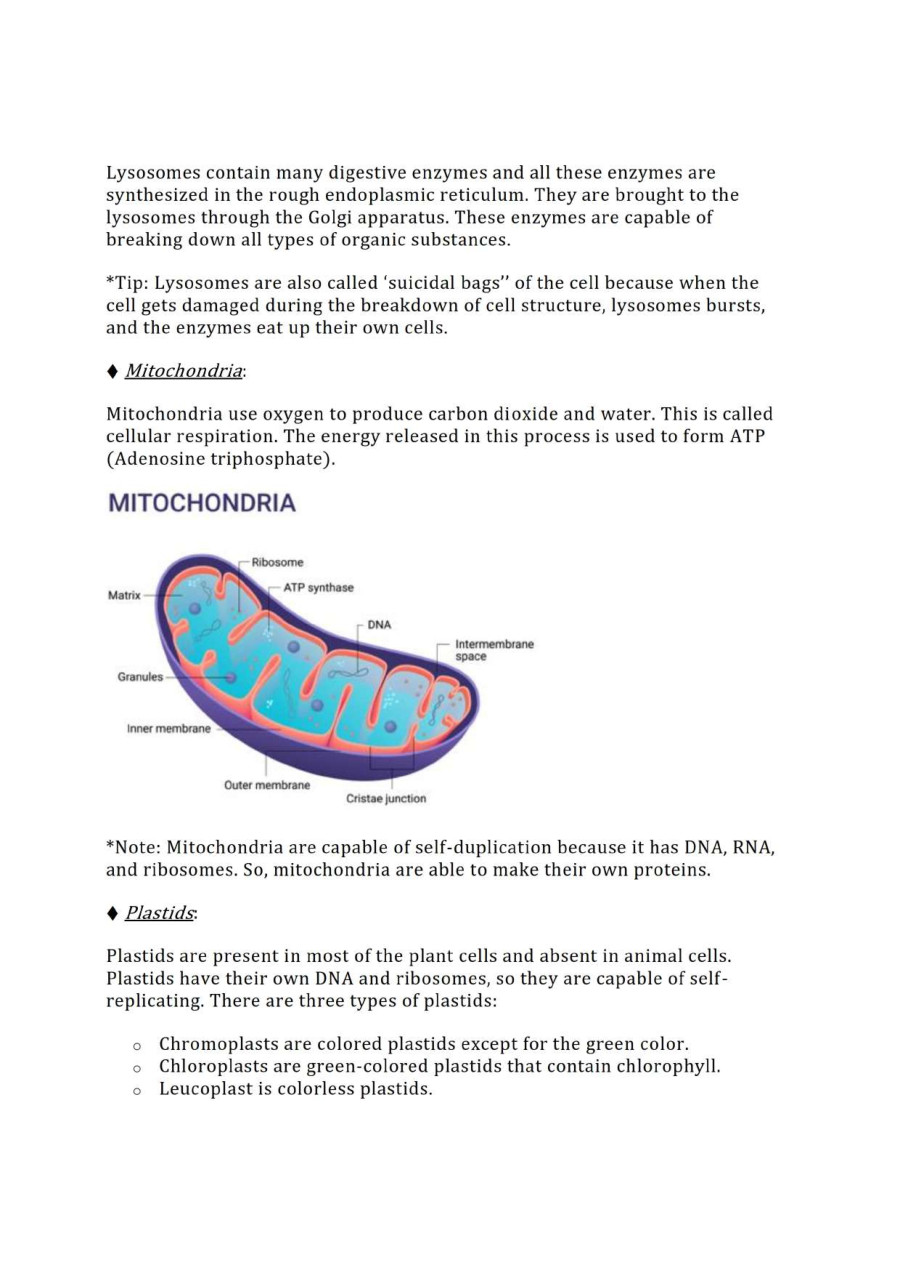 Class 9 Notes for the chapter - Cell the fundamental unit of life ...