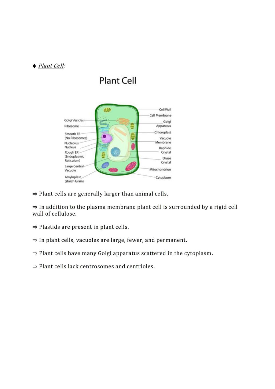 Class 9 Notes for the chapter - Cell the fundamental unit of life ...