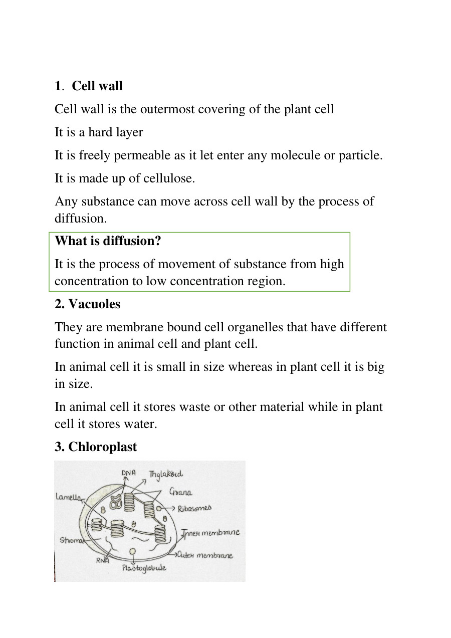 Cell the structural unit of life - Notes - LearnPick India