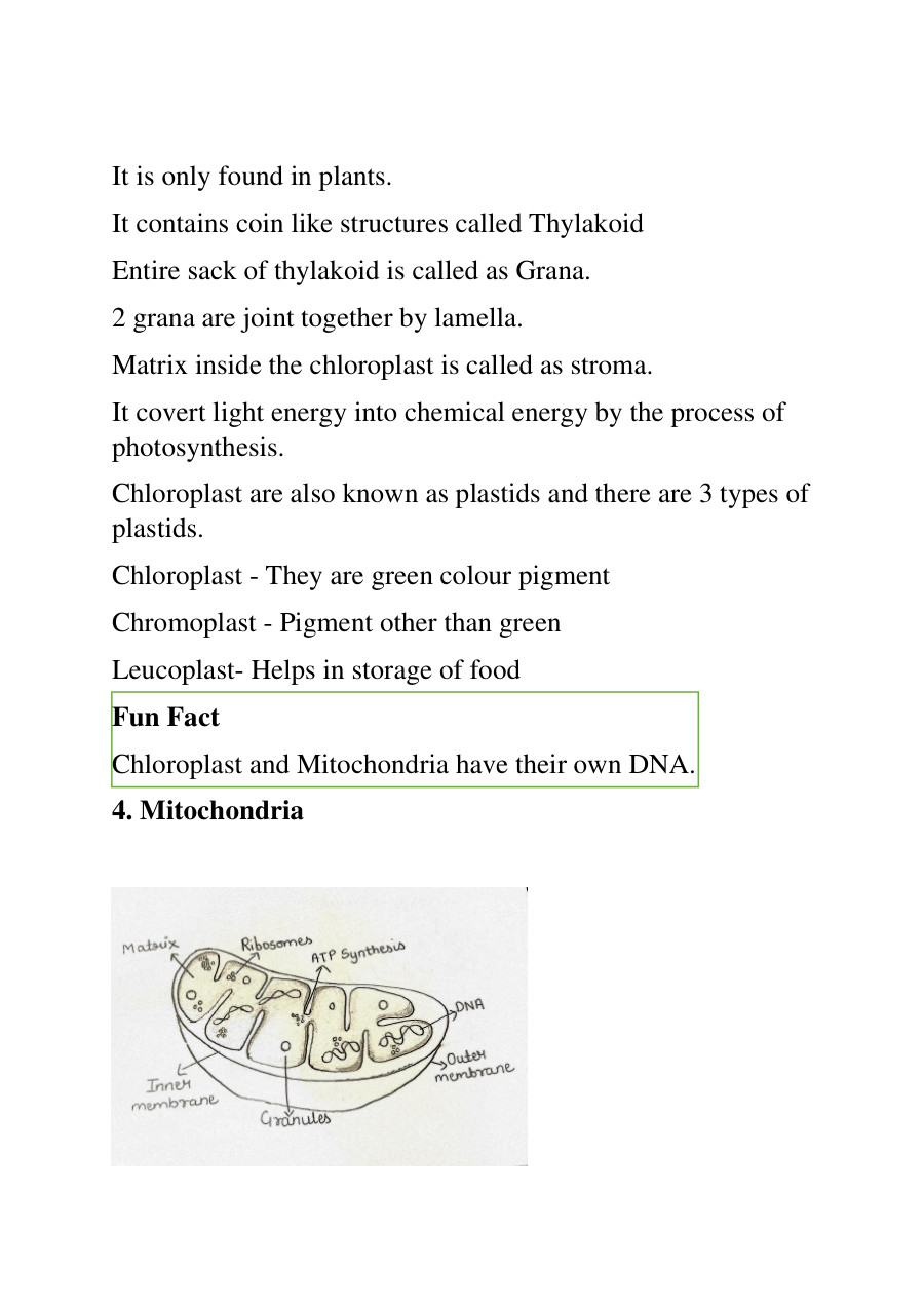 Cell the structural unit of life - Notes - LearnPick India