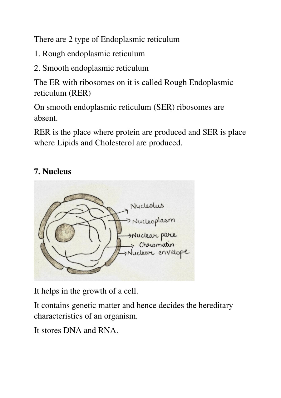Cell the structural unit of life - Notes - LearnPick India