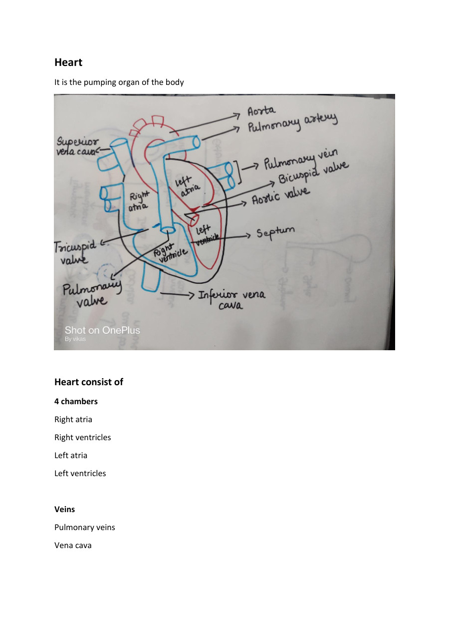 Notes Compiled by LearnPick Tutors and Institutes - LearnPick India