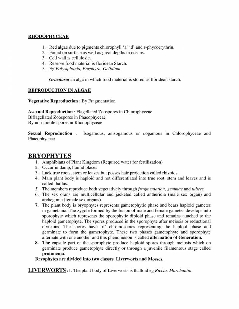 Plant Kingdom - Class XI Biology - Notes - LearnPick India