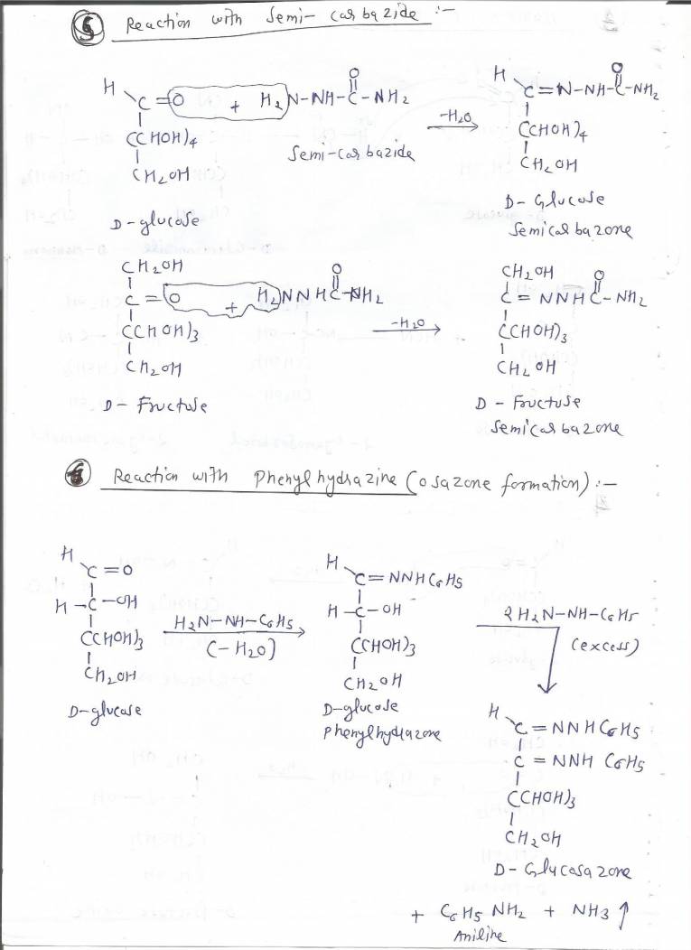 Carbohydrate Chemistry - Notes - LearnPick India