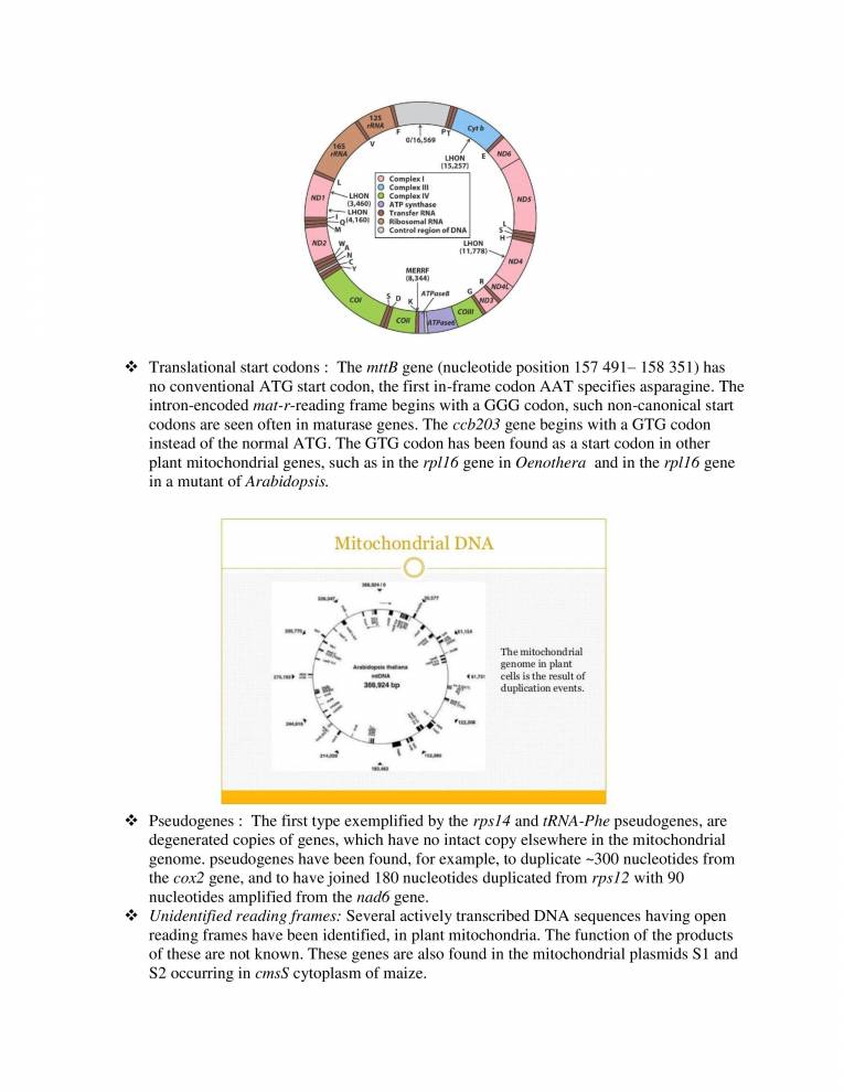 Plant Mitochondrial DNA - Notes - LearnPick India