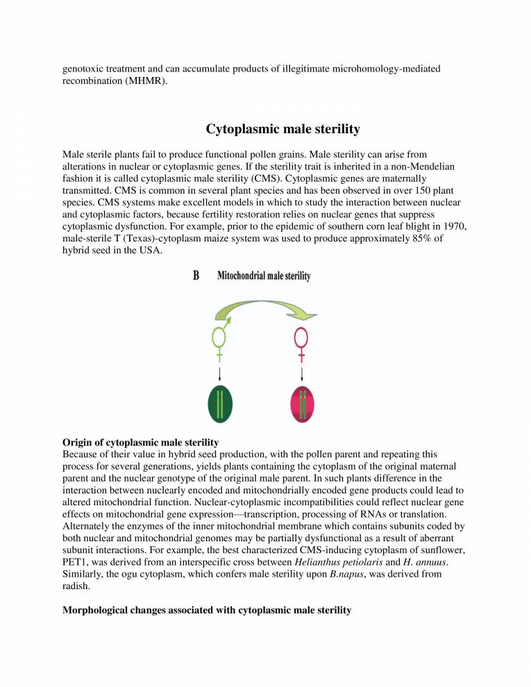 Plant Mitochondrial DNA - Notes - LearnPick India