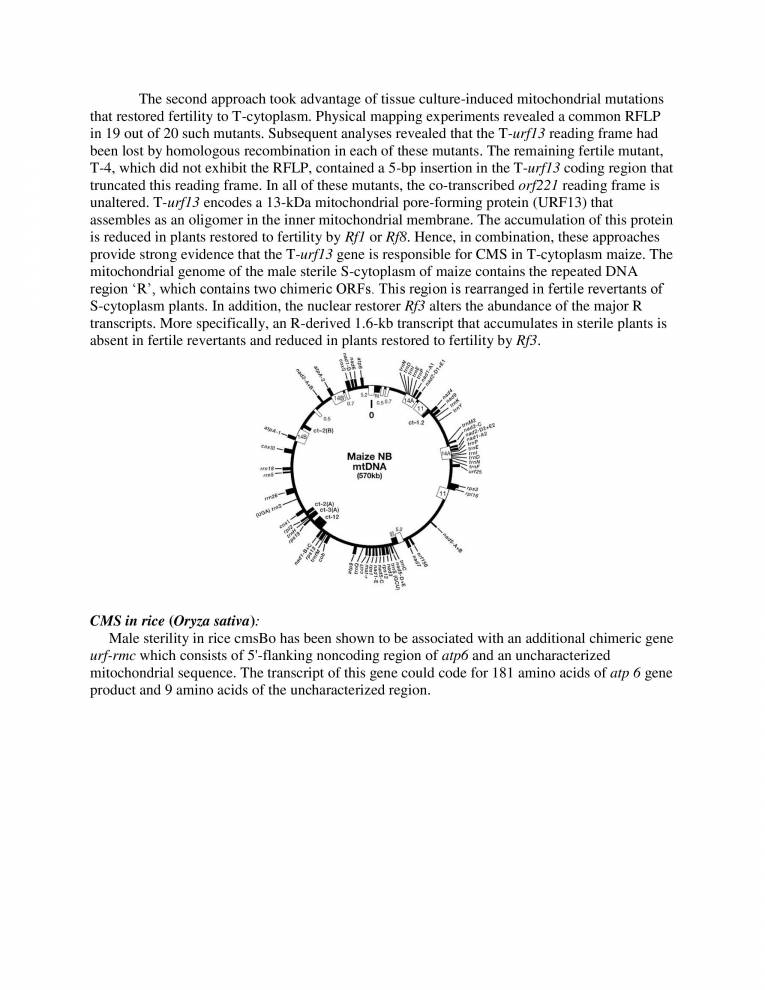 Plant Mitochondrial DNA - Notes - LearnPick India
