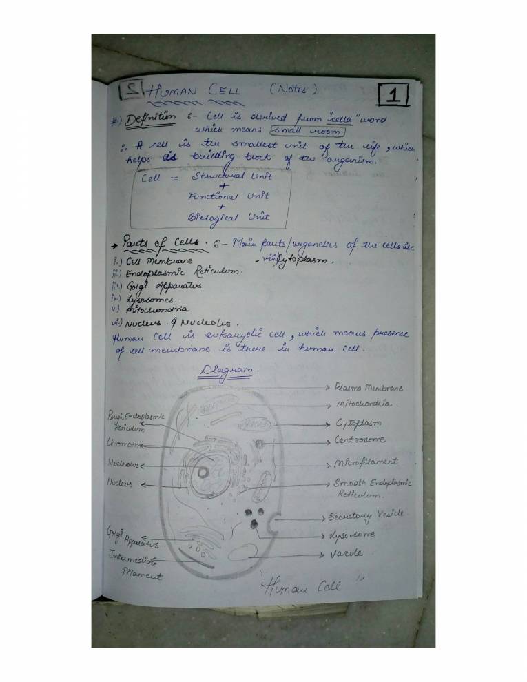 Human Cell Study - Notes - LearnPick India