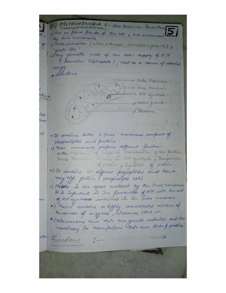 Human Cell Study - Notes - LearnPick India